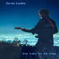 Cover image for Too late to be cool